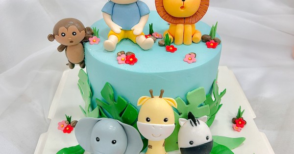 Boy Cake Sample 31
